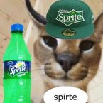 [UPD] Blind Shot | Best blindshot script by Tez — Roblox Scripts | ScriptBlox