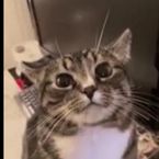 Breaking Point | H4R7N script — Roblox Scripts | ScriptBlox