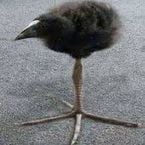 Universal Script 📌 | UNIVERSAL NOCLIP AND TOOLKEEPER — Roblox Scripts | ScriptBlox