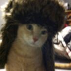 KAT X | Always Headshot Open Source — Roblox Scripts | ScriptBlox