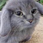 u/EpicGamesREAL | ScriptBlox