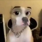 NFT Battle | keyless — Roblox Scripts | ScriptBlox