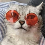 Universal Script 📌 | Gone — Roblox Scripts | ScriptBlox