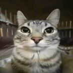 Universal Script 📌 | Universal Music Player By Secret — Roblox Scripts | ScriptBlox