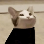 Brookhaven 🏡RP | NEVLIZ HUB Brookhaven — Roblox Scripts | ScriptBlox