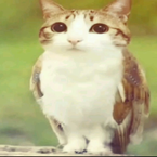 u/no1hub | ScriptBlox