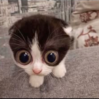 Egg Toss [2 Players] | Unlimited Coins — Roblox Scripts | ScriptBlox