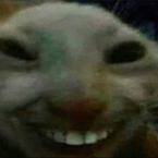 Universal Script 📌 | Image Detective — Roblox Scripts | ScriptBlox