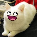 Universal Script 📌 | LOAD GUI — Roblox Scripts | ScriptBlox