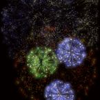 Universal Script 📌 | Internal Dominant Executor ONLY FOR PC sorry — Roblox Scripts | ScriptBlox