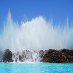 Universal Script 📌 | Noxious Hub KEYLESS — Roblox Scripts | ScriptBlox