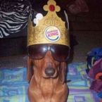 Death Ball | best work script — Roblox Scripts | ScriptBlox