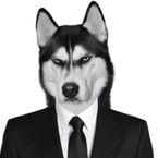 Universal Script 📌 | ZenX Hub CRACKED — Roblox Scripts | ScriptBlox