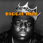 Universal Script 📌 | Biggie Hub — Roblox Scripts | ScriptBlox