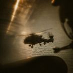 AniPhobia | Infinite Ammo — Roblox Scripts | ScriptBlox