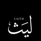 Universal Script 📌 | WalkSpeed To 75 — Roblox Scripts | ScriptBlox