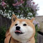 Tower of Hell | Luminary Hub — Roblox Scripts | ScriptBlox