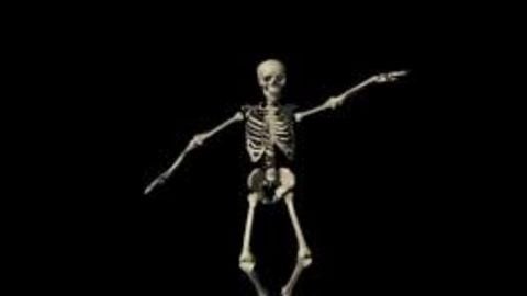 Universal Script 📌 | Fe btools f3x skeleton skybox — Roblox Scripts | ScriptBlox