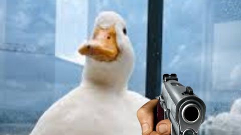 Just a baseplate. | Sin drgon converted but bseplte. (idk) — Roblox ...