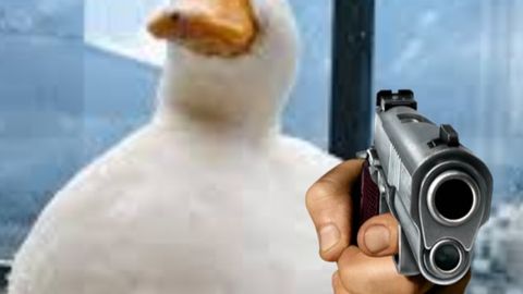 Just a baseplate. | Sin drgon converted but bseplte. (idk) — Roblox ...