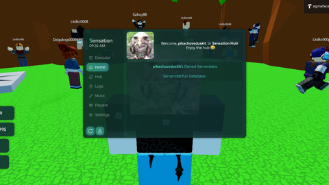 Universal Script 📌 | require script sensation hub — Roblox Scripts | ScriptBlox