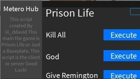 Universal Script 📌 | MeteroHub — Roblox Scripts | ScriptBlox
