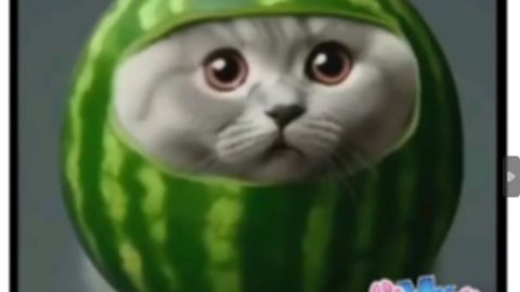 Universal Script 📌 | Fast Shop Opening — Roblox Scripts | ScriptBlox