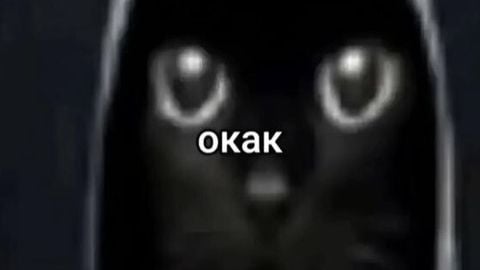 Universal Script 📌 | Universal FE Spin fling — Roblox Scripts | ScriptBlox