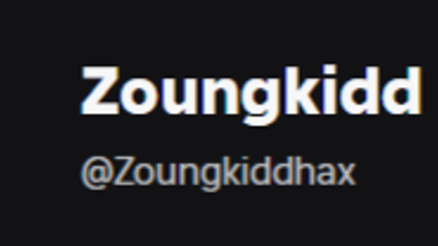 Universal Script 📌 | zoung gui private edition — Roblox Scripts | ScriptBlox