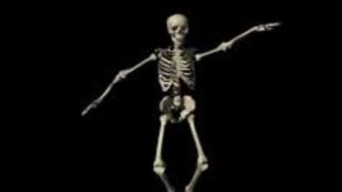 Universal Script 📌 | Backdoor Spooky Scary Skeletons — Roblox Scripts ...