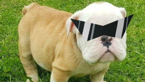 Universal Script 📌 | b2s f3x gui edited by scrapdox — Roblox Scripts ...