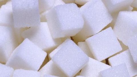 Universal Script 📌 | Invisibility No FE — Roblox Scripts | ScriptBlox