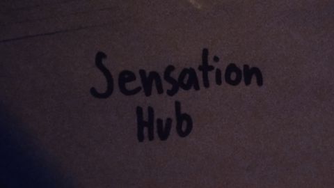 Universal Script 📌 | Sensation Hub Backdoor (Updated) — Roblox Scripts ...