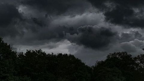 Universal Script 📌 | c00lgui Reborn Rc7 By v3rx — Roblox Scripts | ScriptBlox