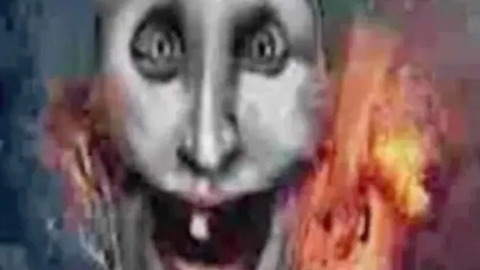 Universal Script 📌 | Why Hub beta oficial — Roblox Scripts | ScriptBlox