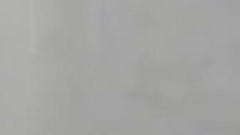 Universal Script 📌 | Pendulum Hub — Roblox Scripts | ScriptBlox