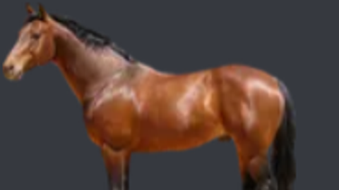 Universal Script 📌 | VC unban — Roblox Scripts | ScriptBlox