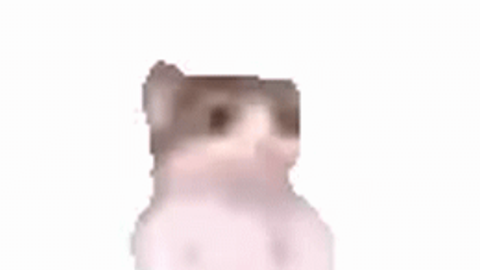 Universal Script 📌 | Touch Fling — Roblox Scripts | ScriptBlox