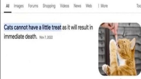 Universal Script 📌 | c00lgui RC7 REBORN — Roblox Scripts | ScriptBlox