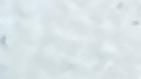 Universal Script 📌 | Zenith HUB FPS — Roblox Scripts | ScriptBlox