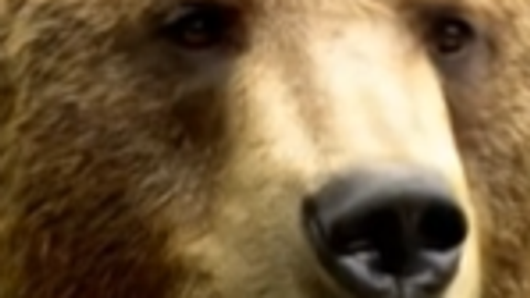 Universal Script 📌 | Vxeze Hub — Roblox Scripts | ScriptBlox