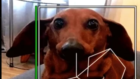 Universal Script 📌 | Roblox universal reach script open source — Roblox Scripts | ScriptBlox