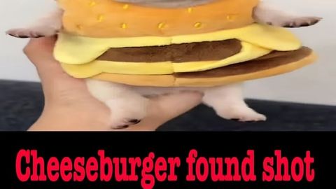 Dead Rails [Alpha] | Sypher Hub — Roblox Scripts | ScriptBlox