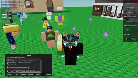 Universal Script 📌 | Player Grabber — Roblox Scripts | ScriptBlox