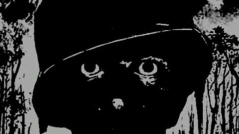 Universal Script 📌 | Speed gui — Roblox Scripts | ScriptBlox