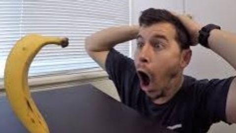 Universal Script 📌 | Theme Switch Kavo UI — Roblox Scripts | ScriptBlox