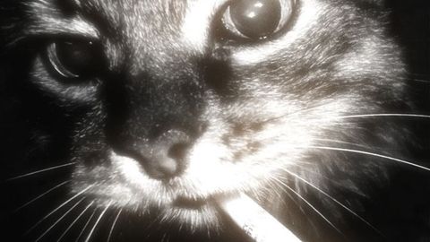 Universal Script 📌 | Fly Gui V3 Turkish — Roblox Scripts | ScriptBlox