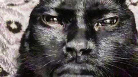 Universal Script 📌 | FE Egor script — Roblox Scripts | ScriptBlox