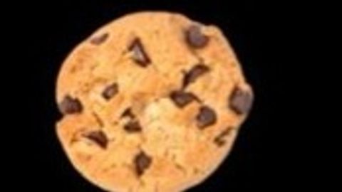 Universal Script 📌 | Open Executor — Roblox Scripts | ScriptBlox