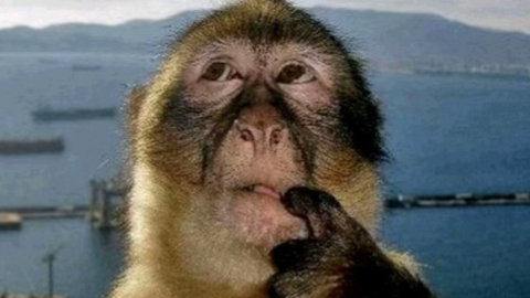 Universal Script 📌 | Free Admin for ALL Games — Roblox Scripts | ScriptBlox